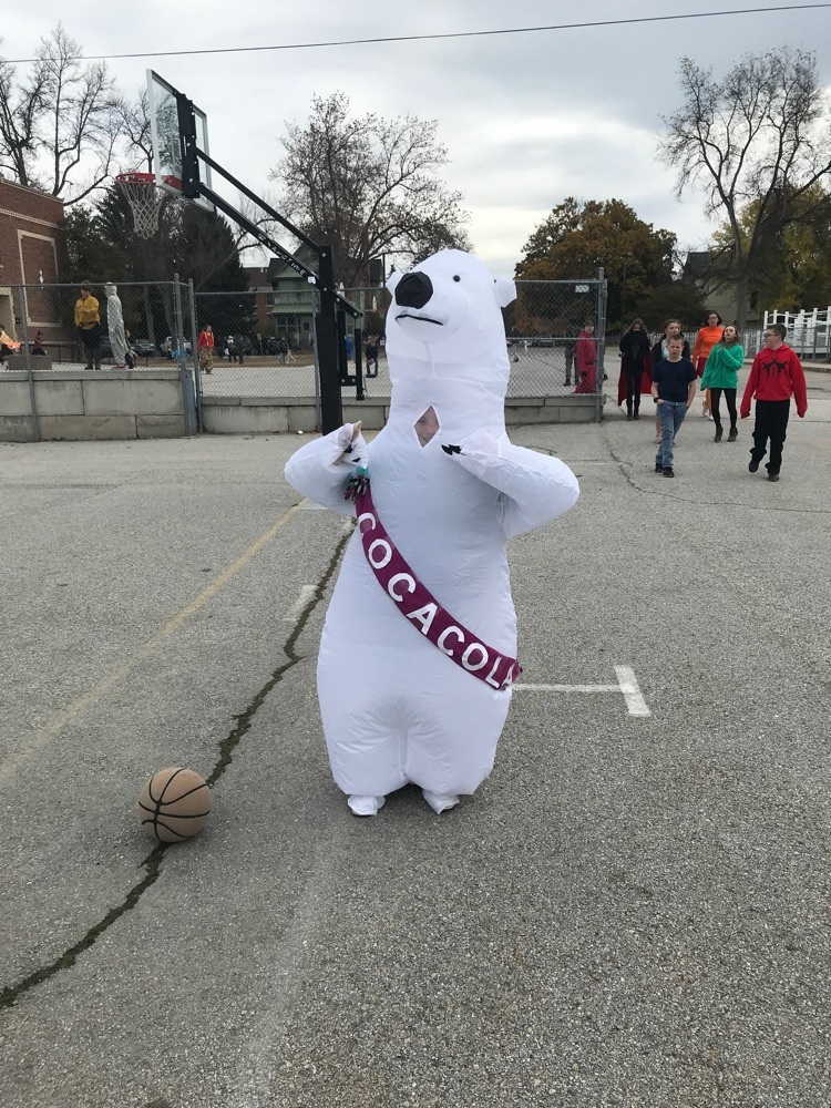 Live Feed | Hamilton School District #3