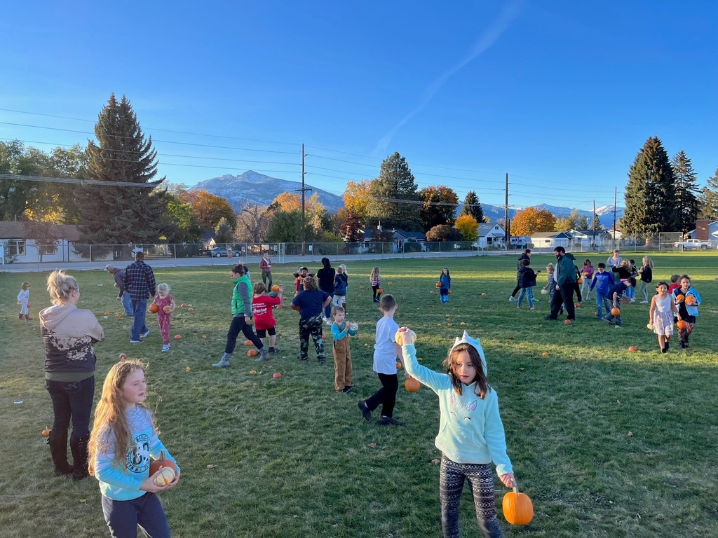 Live Feed | Hamilton School District #3